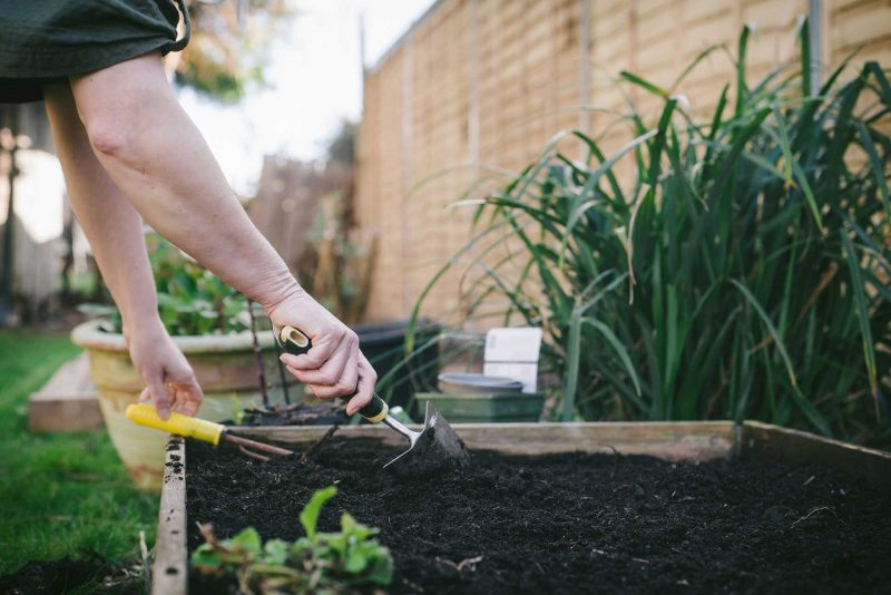 Best Spring Meditation Techniques for Seasonal Renewal and Mindfulness